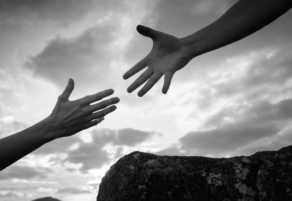 Altruistic behavior reduces pain.