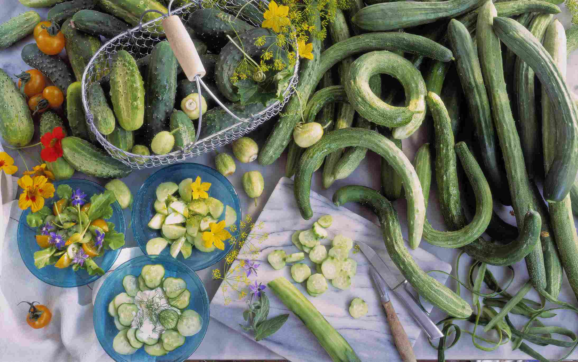 10 Most Unusual Cucumber Varieties You've Never Heard Of