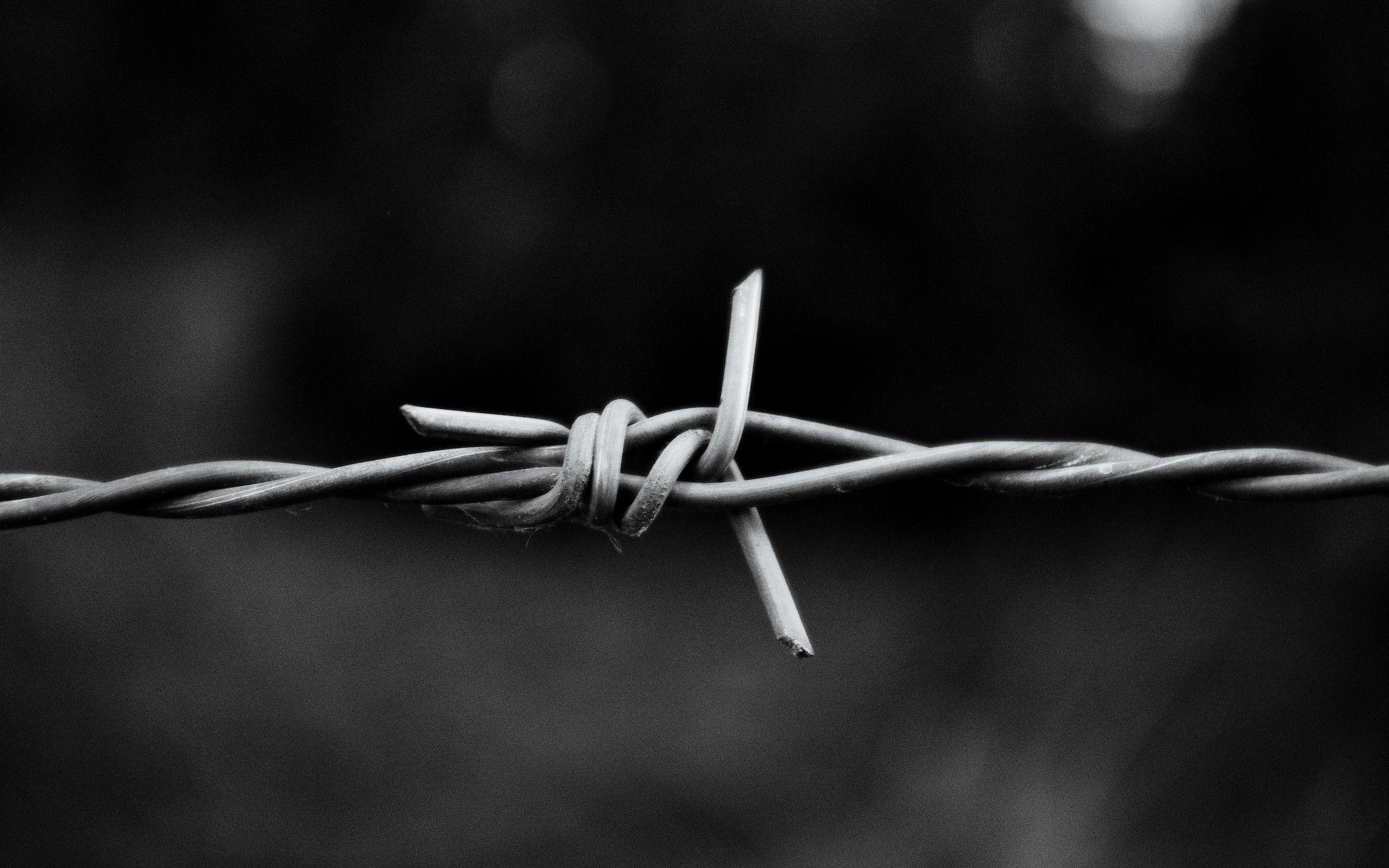 How barbed wire appeared and its role in historical events